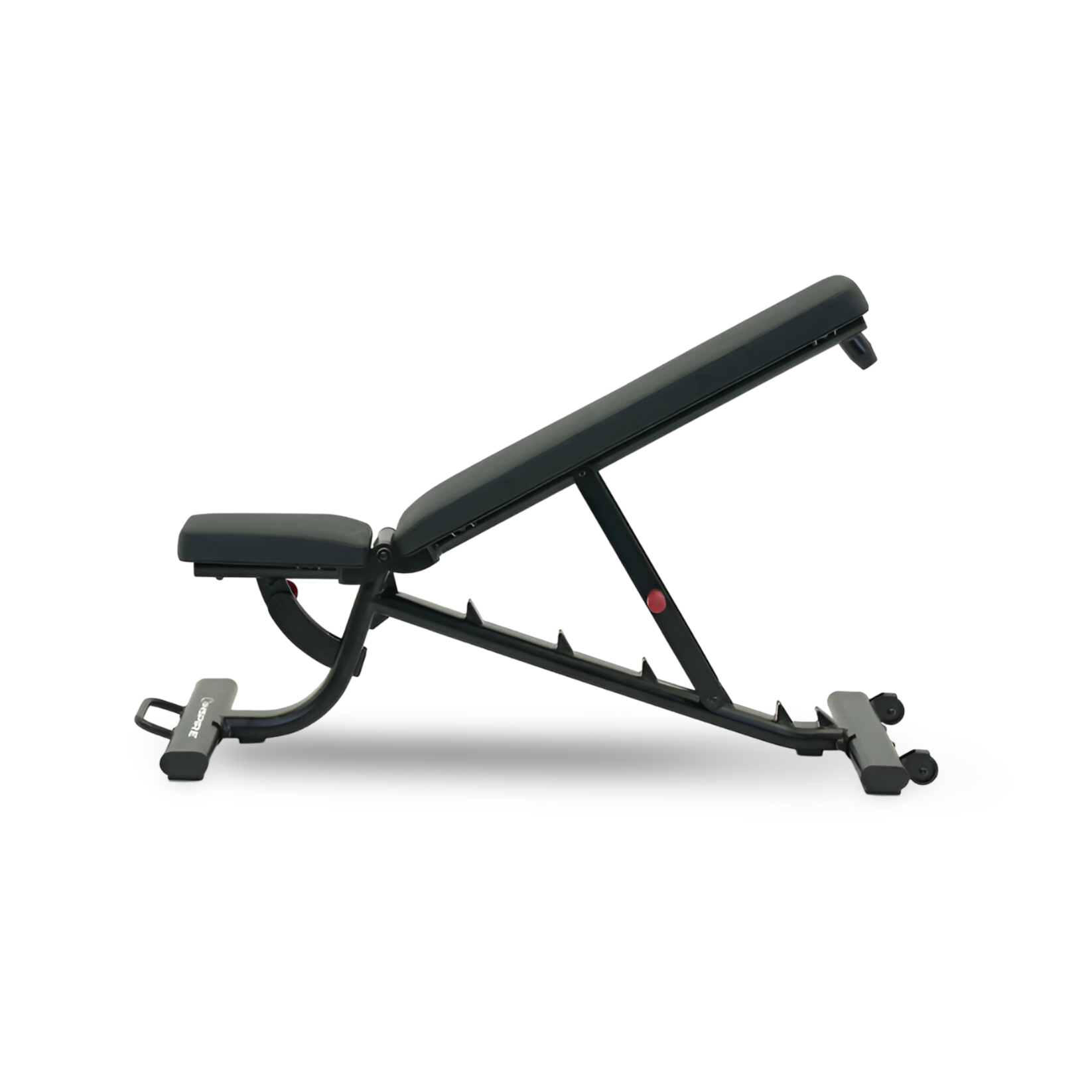 Incline Decline Weight Bench | Inspire Fitness