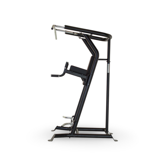 VKR Vertical Knee Raise Machine | Inspire Fitness