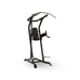 VKR Vertical Knee Raise Machine | Inspire Fitness